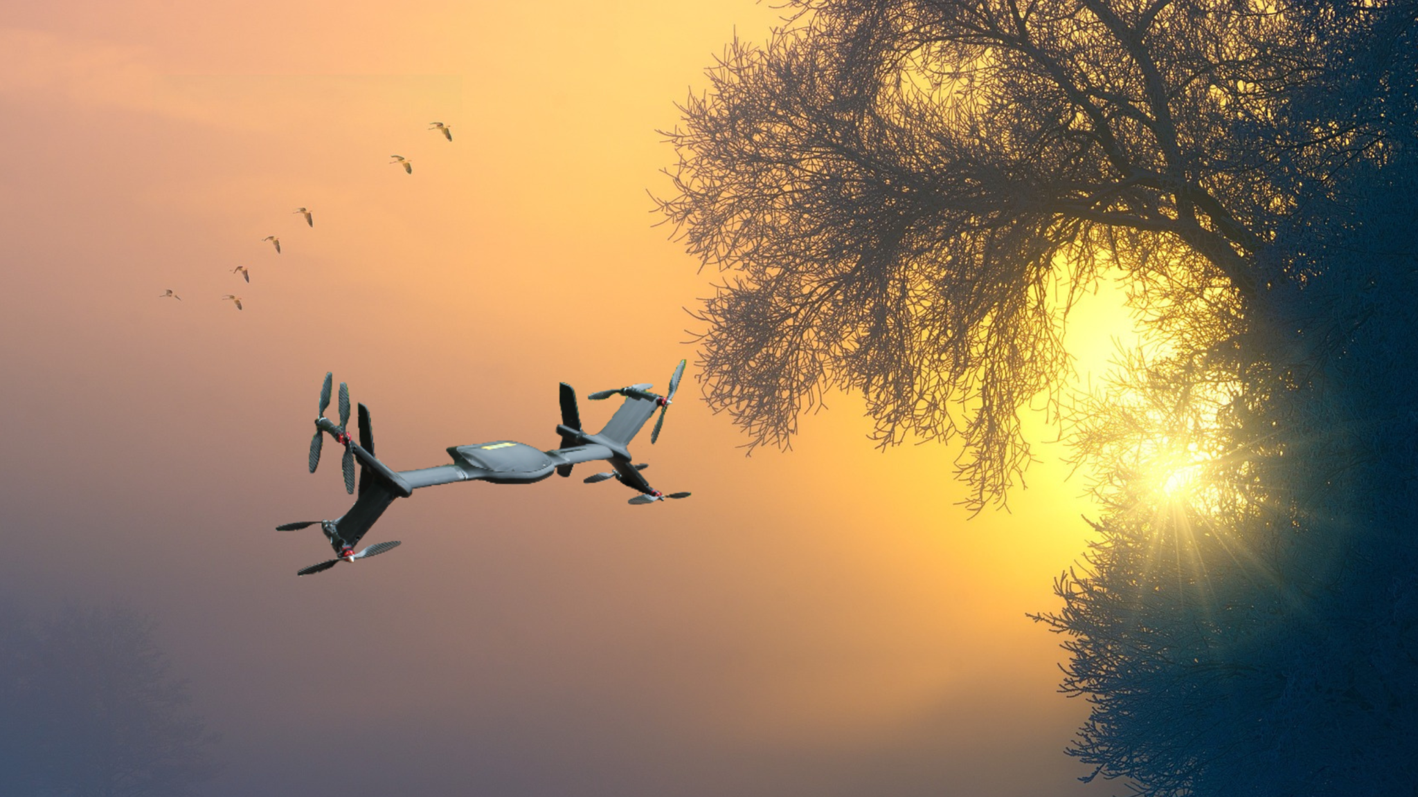 About – AURORA Prime